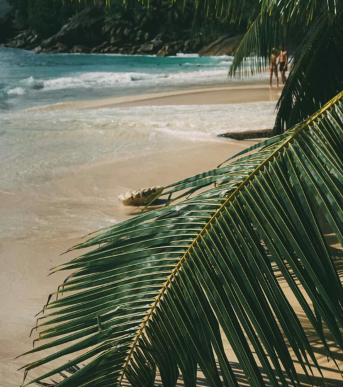 Salty Babe | Ladies Beach Lifestyle Apparel – The Salty Babe